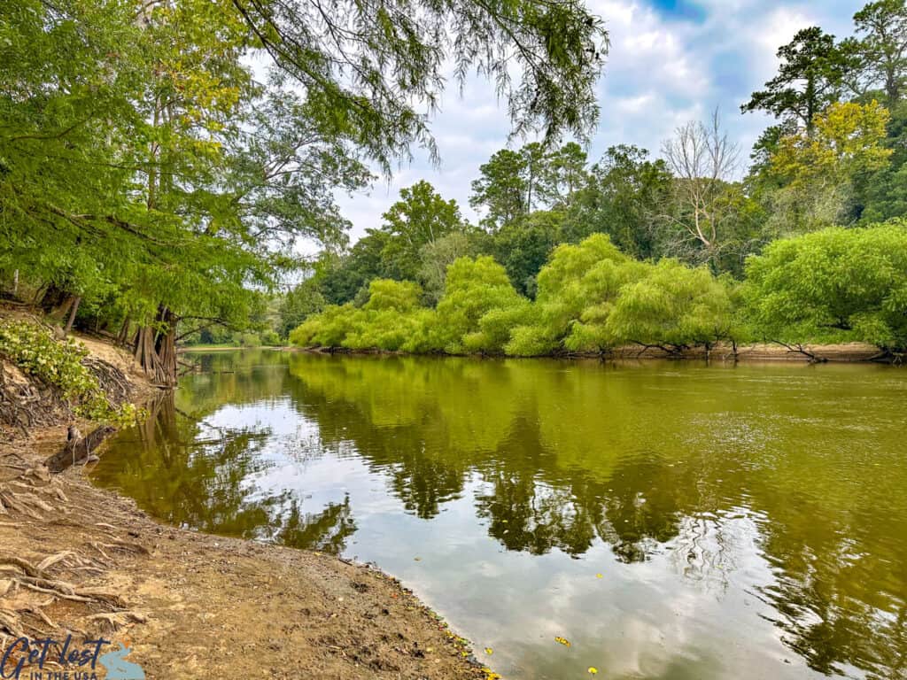Exploring The Trails: A Hiker's Guide to Cliffs of the Neuse State Park ...