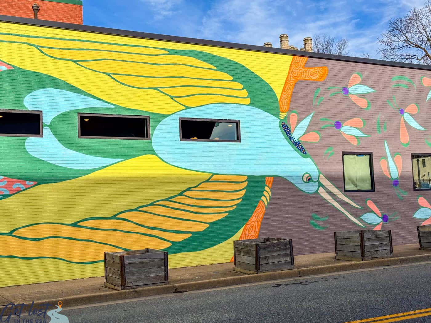 Things to Do in Harrisonburg, VA: A Guide to Unforgettable Experiences ...
