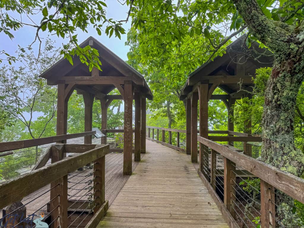 Exploring Cheaha State Park: Trails, Treasures and Tranquility - Get ...