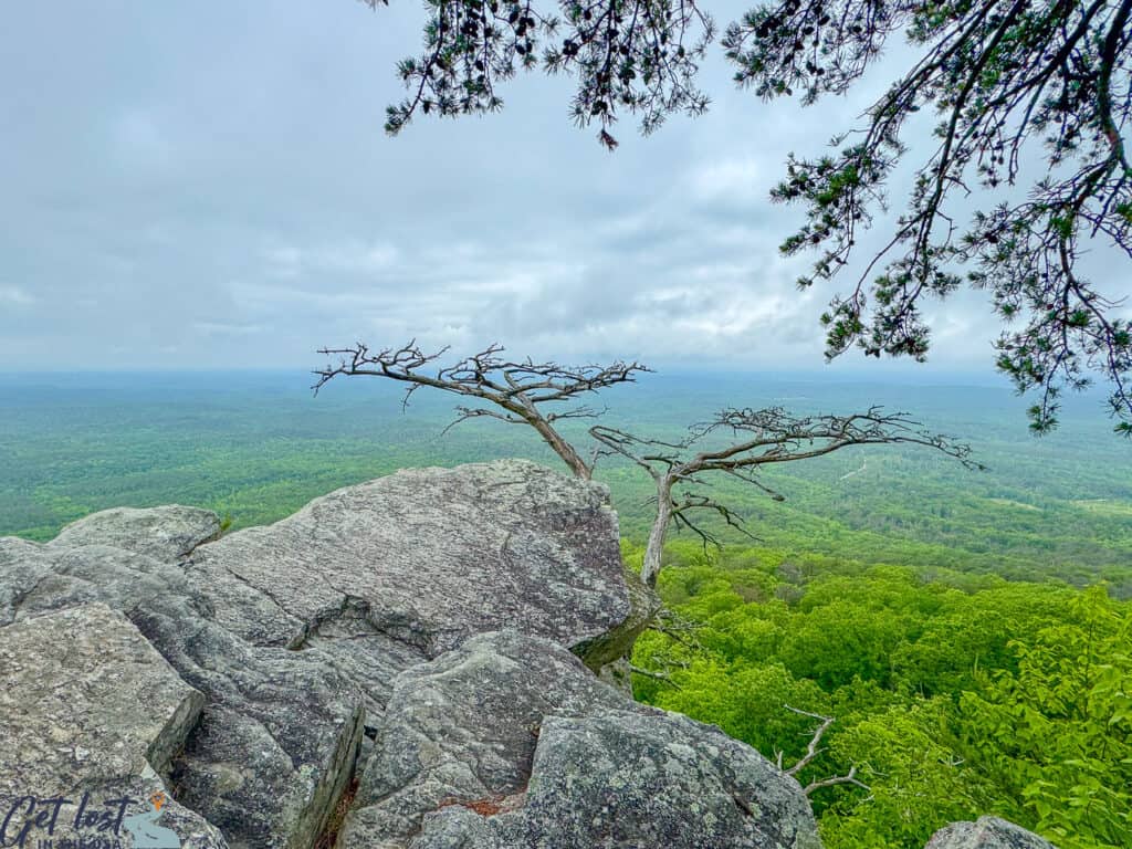 Exploring Cheaha State Park: Trails, Treasures and Tranquility - Get ...