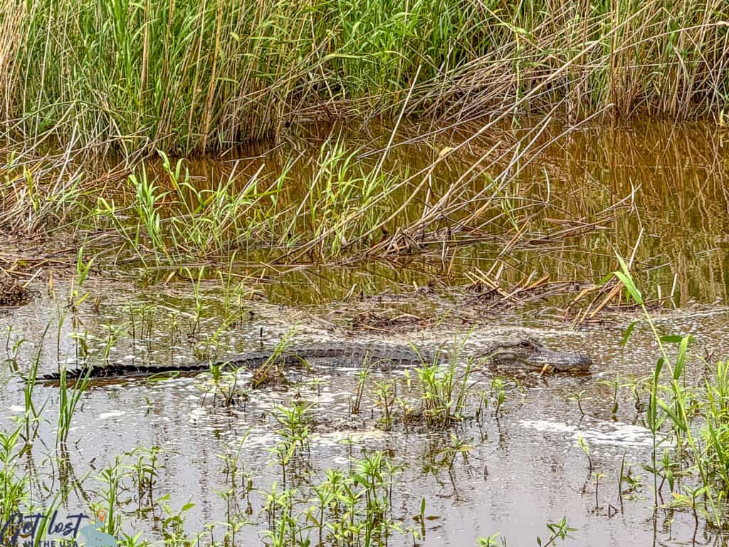 How to Explore the Creole Nature Trail (Itinerary and Tips) - Get Lost ...