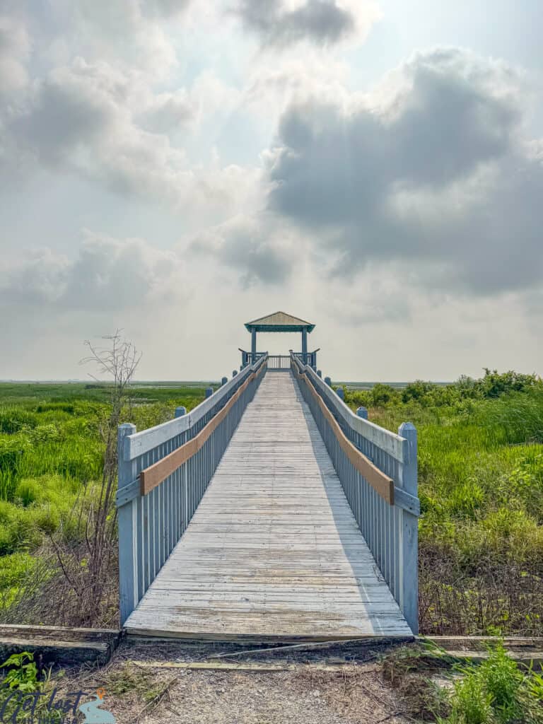 How to Explore the Creole Nature Trail (Itinerary and Tips) - Get Lost ...
