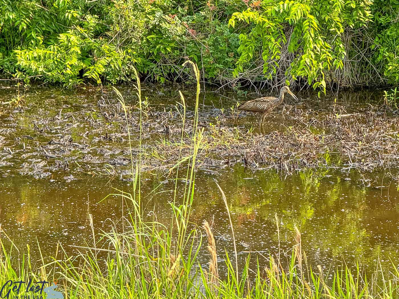 How to Explore the Creole Nature Trail (Itinerary and Tips) - Get Lost ...
