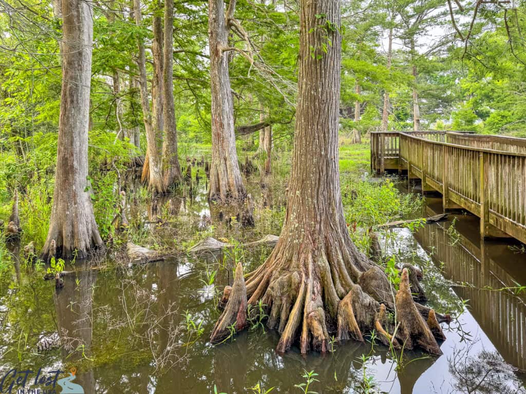 How to Explore the Creole Nature Trail (Itinerary and Tips) - Get Lost ...