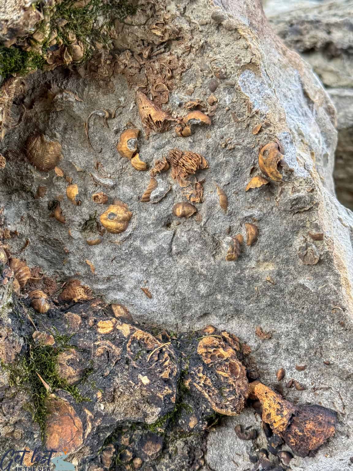 Exploring Falls of the Ohio State Park - Get Lost In The USA